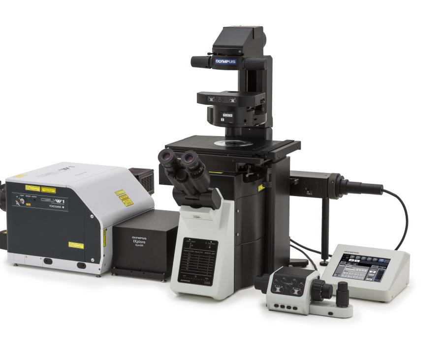 How It Started vs. How It’s Going | Olympus